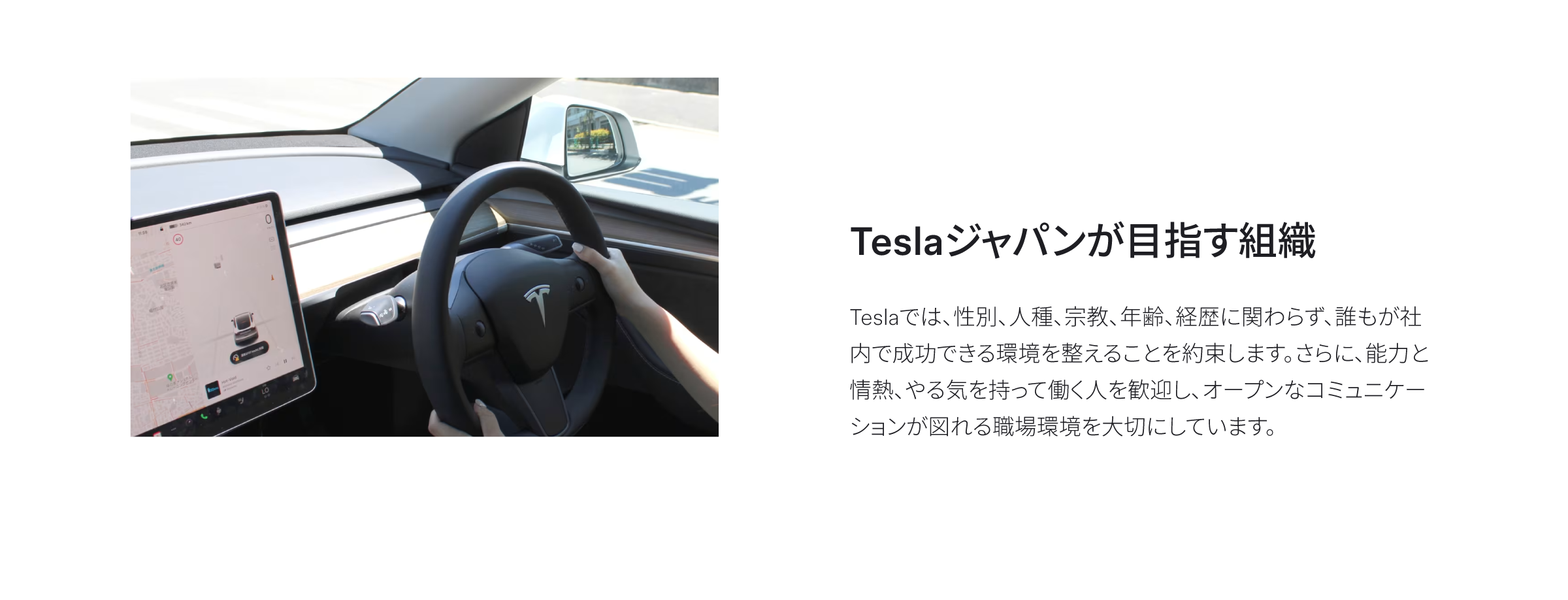Tesla - Japan